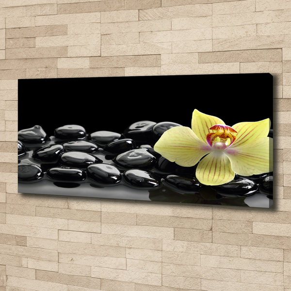 Brayden Studio Orchidee - Kunstdrucke auf Leinwand - Wrapped Canvas | Wayfair.de